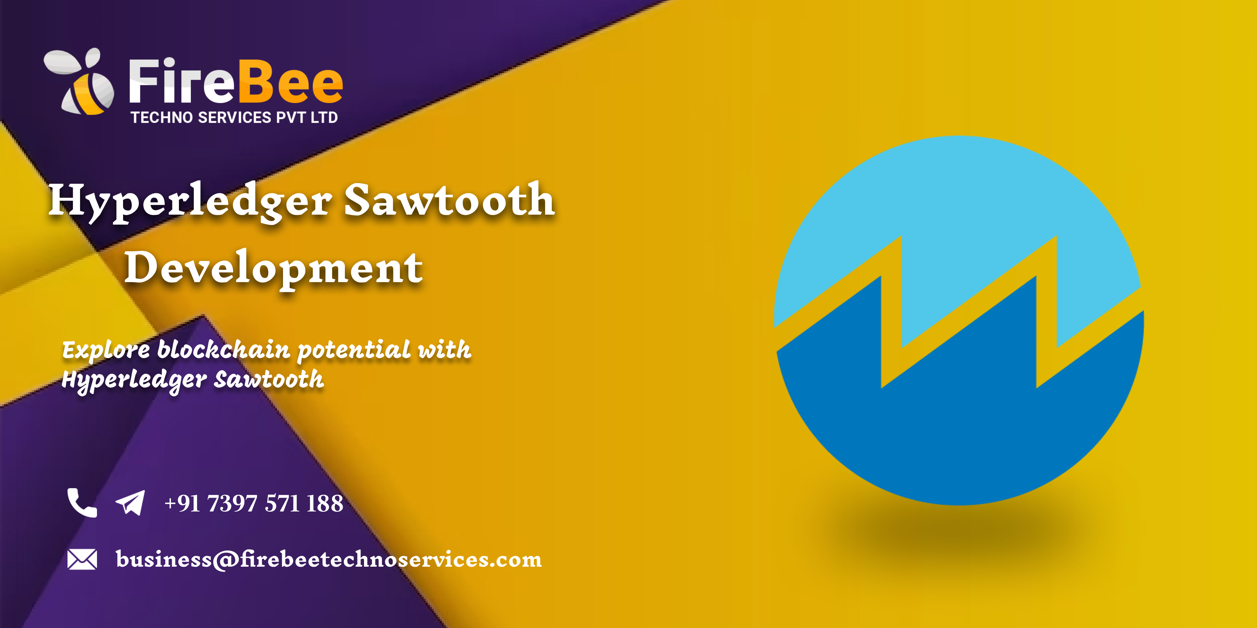 Hyperledger Sawtooth development